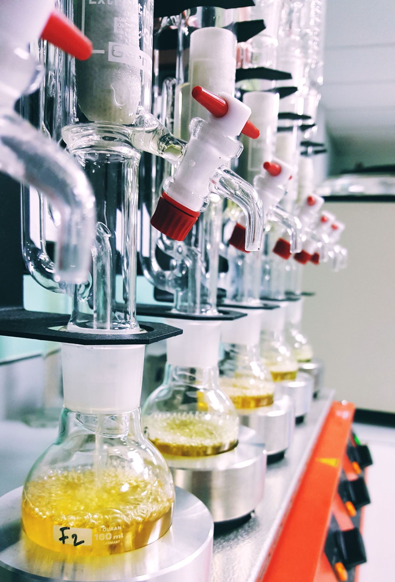 Prop 65 Phthalates – TTL Laboratories